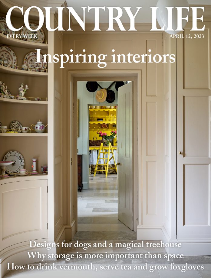 Country Life Front Cover | Guild Anderson